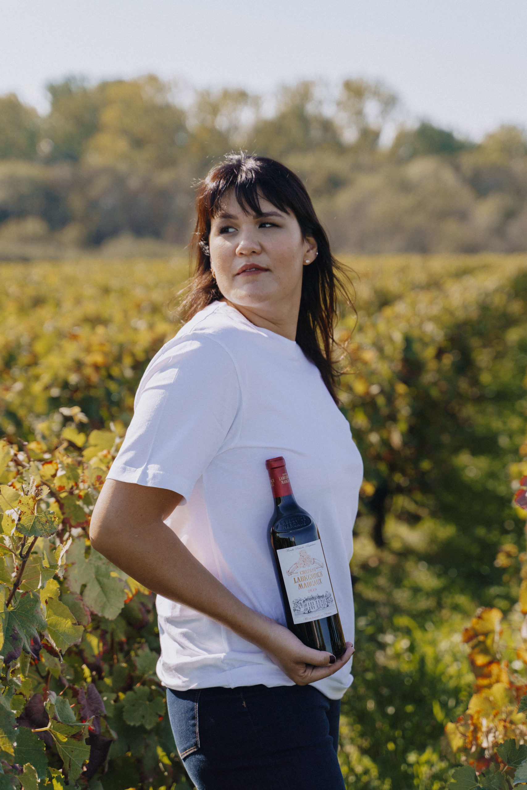 Banqued'image - Château Labegorce